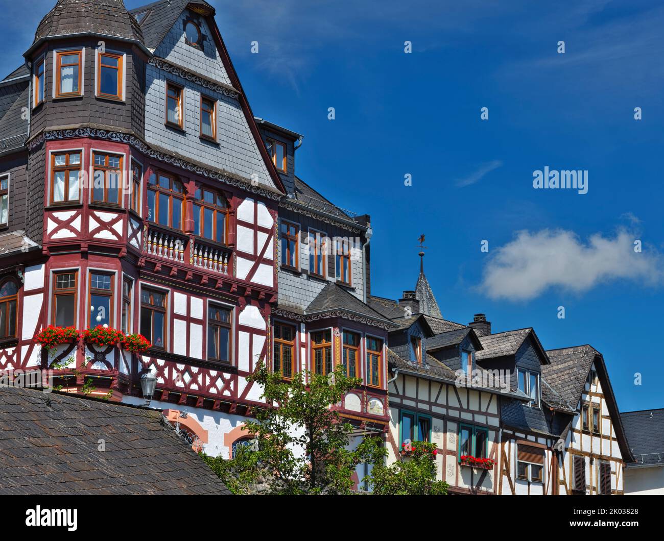 Europe, Germany, Hesse, Hesse-Nassau, Taunus, Taunus Nature Park ...