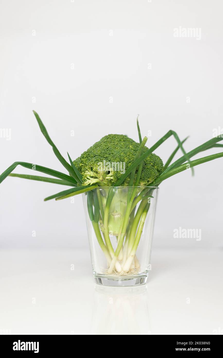 Glass vase with a bouquet of broccoli and spring onions Stock Photo - Alamy