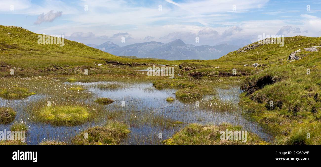 A low angle shot of the Mountain Loch in Australia covered with green ...