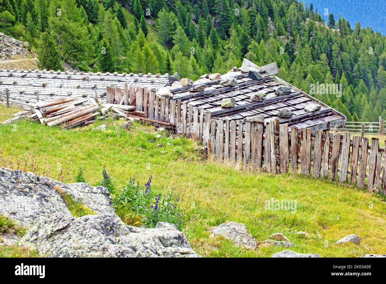 Alpine huts stand crouched in the alpine pasture Italy, South Tyrol ...
