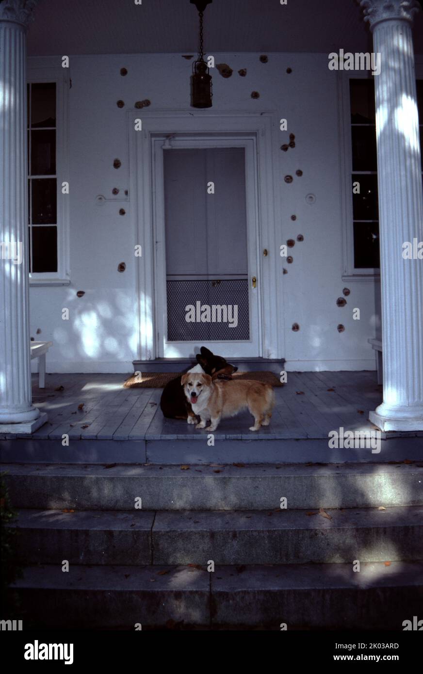 Brandon plantation hi-res stock photography and images - Alamy