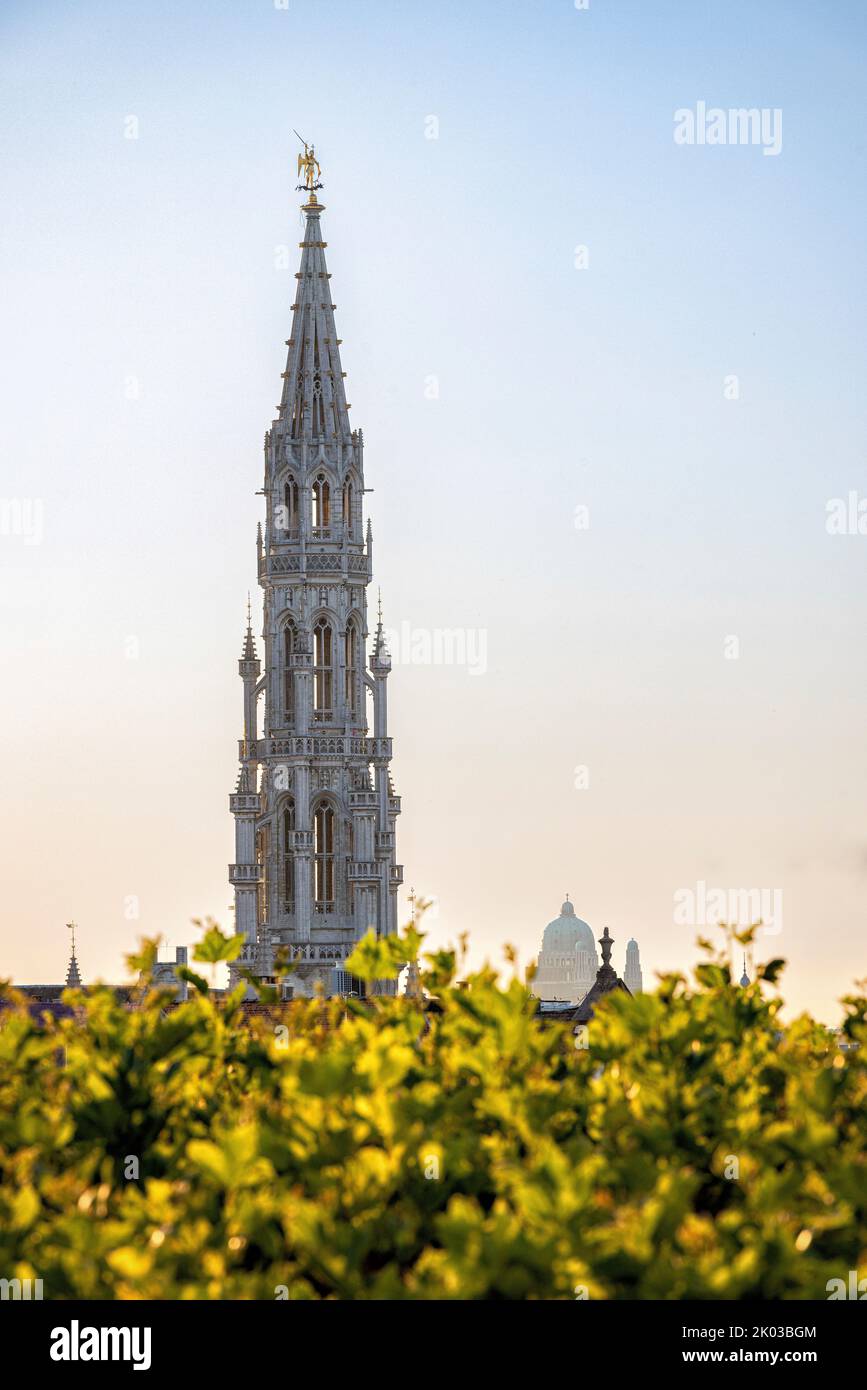 View of the city hall tower. Brussels, Belgium Stock Photo - Alamy