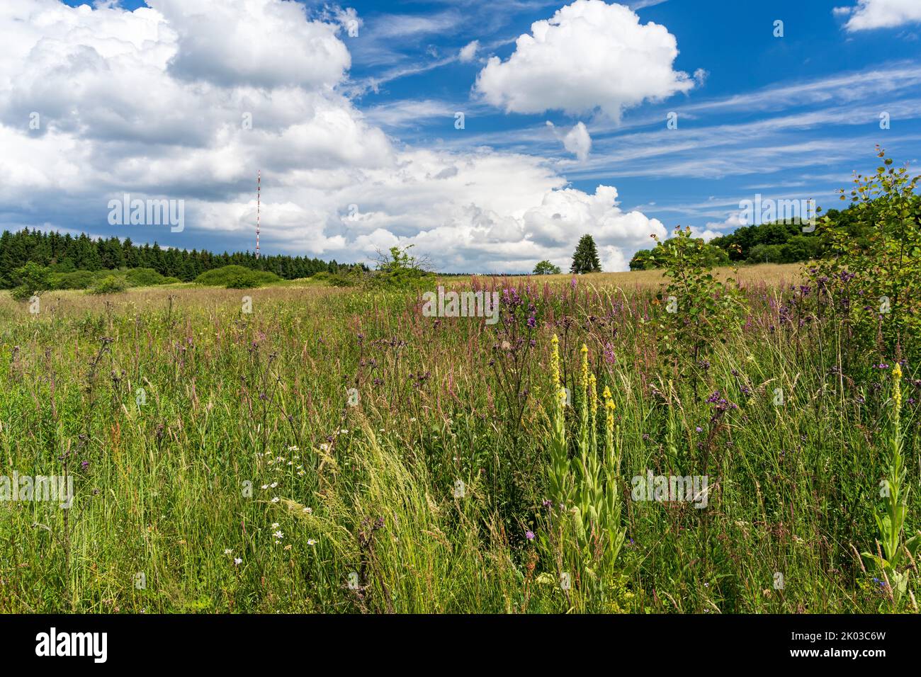 The Lange Rhön Nature Reserve in the core zone of the Rhön Biosphere ...