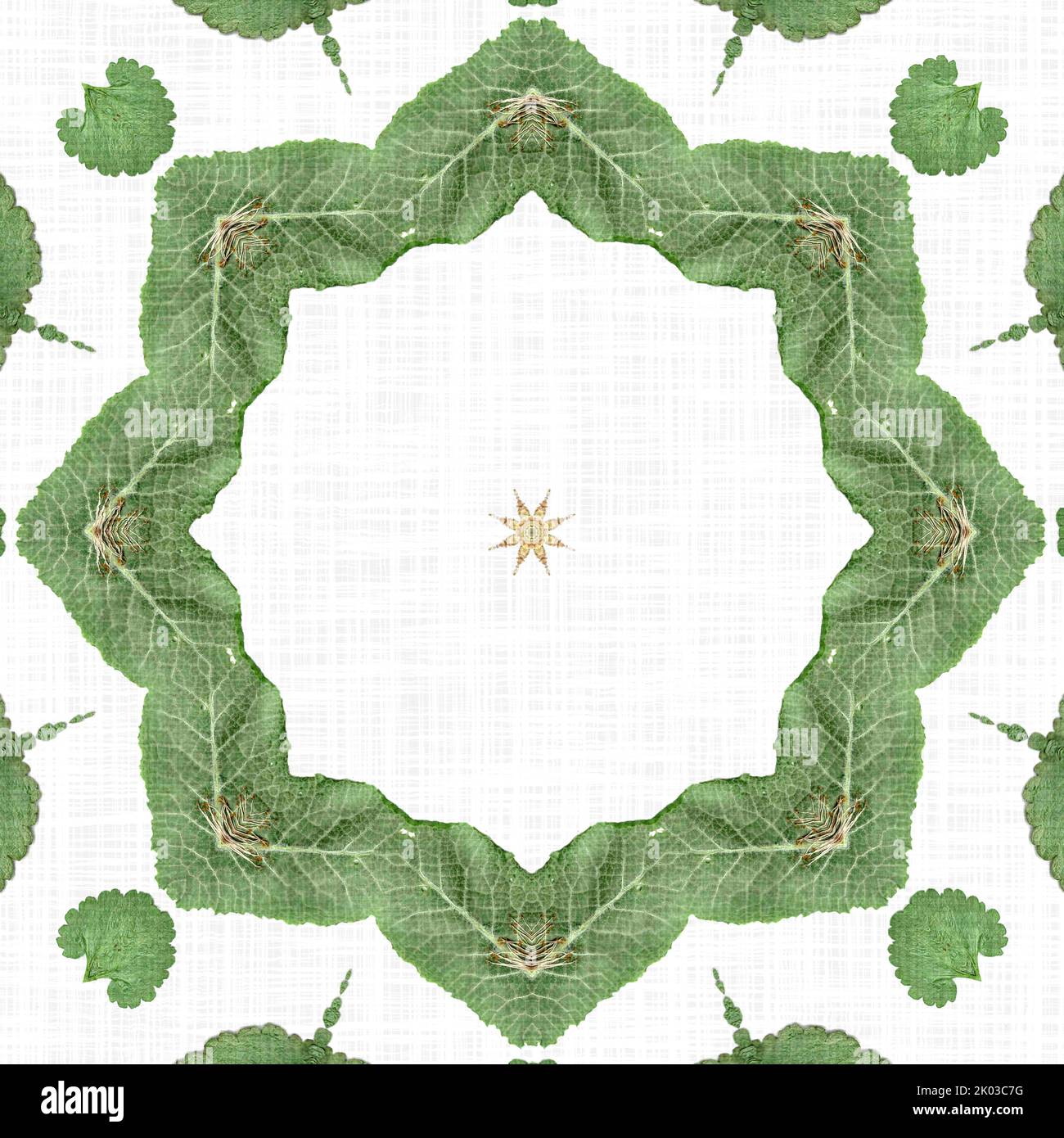 Geo fabric hi-res stock photography and images - Alamy