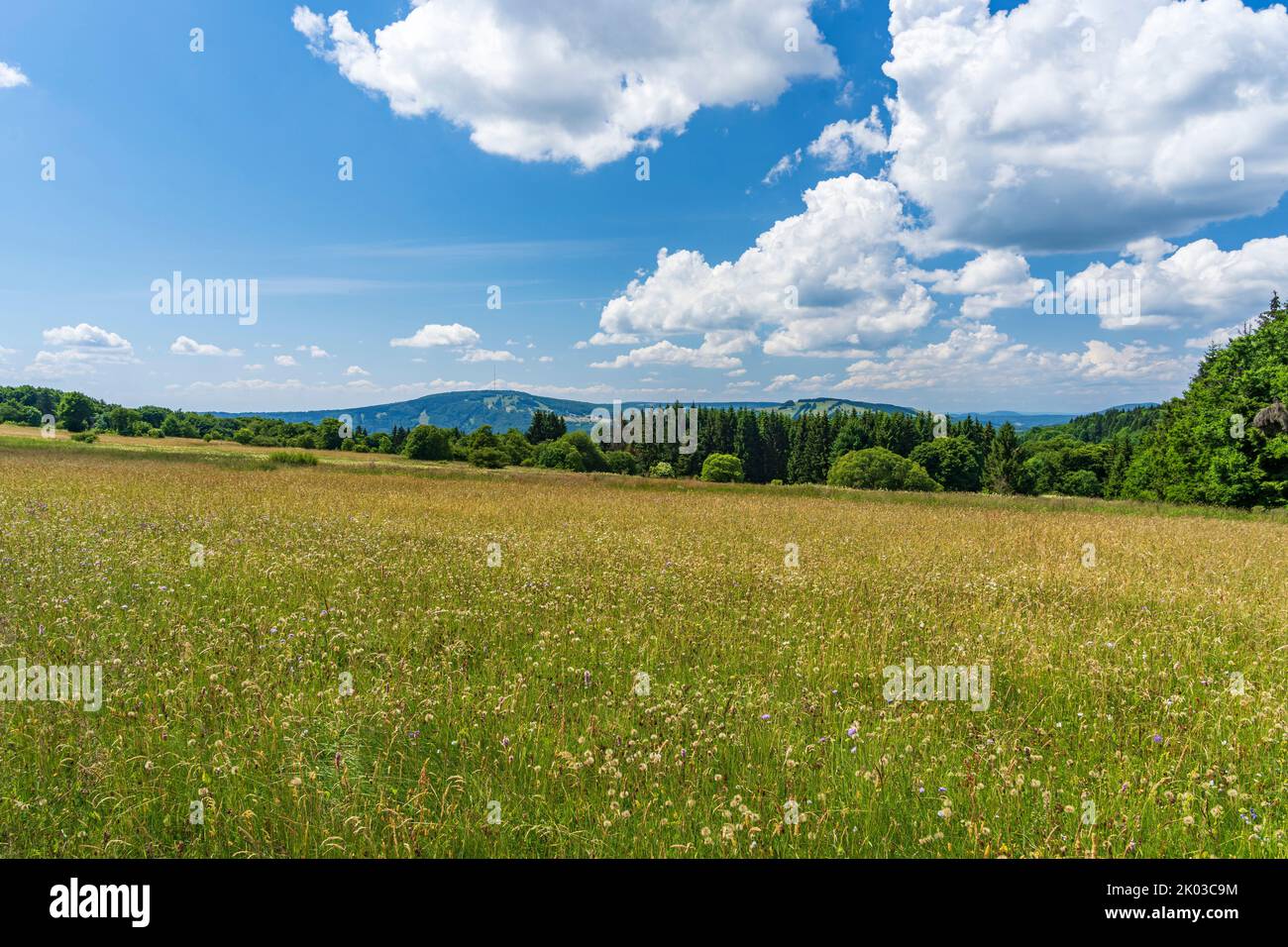 The Lange Rhön Nature Reserve in the core zone of the Rhön Biosphere ...