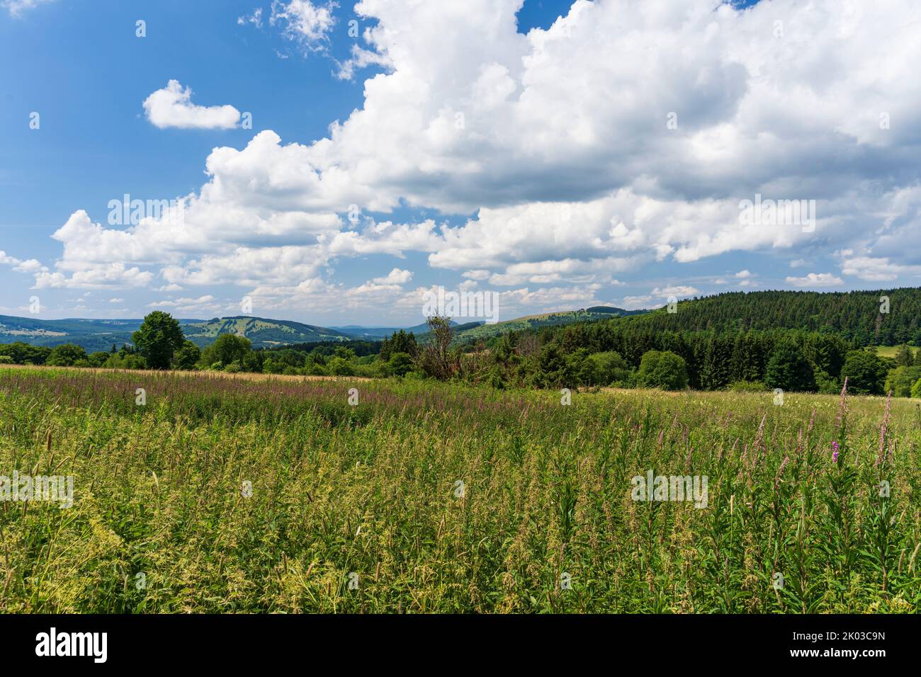 The Lange Rhön Nature Reserve in the core zone of the Rhön Biosphere ...