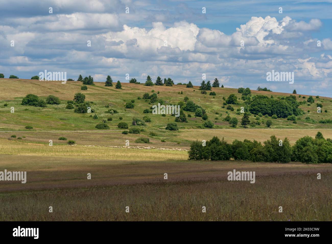The Lange Rhön Nature Reserve in the core zone of the Rhön Biosphere ...