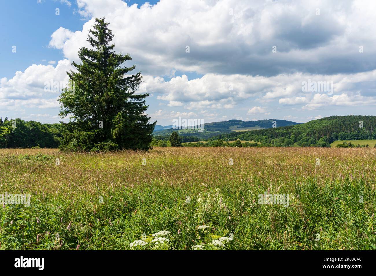 The Lange Rhön Nature Reserve in the core zone of the Rhön Biosphere ...
