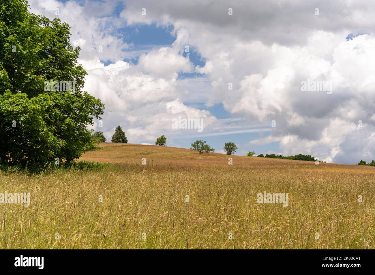 Conservation core zone hi-res stock photography and images - Alamy