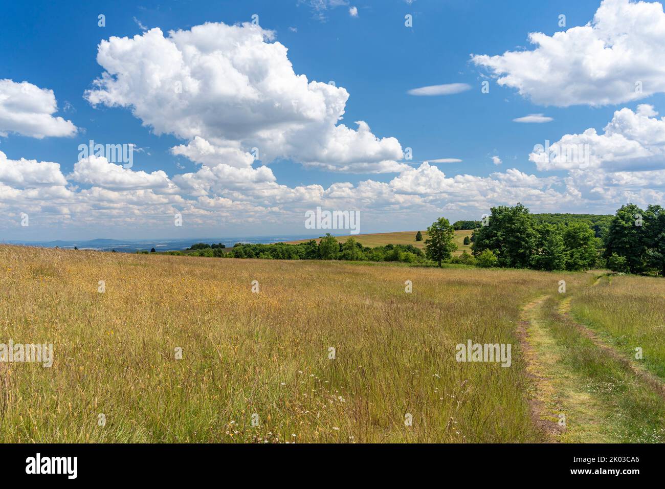 The Lange Rhön Nature Reserve in the core zone of the Rhön Biosphere ...