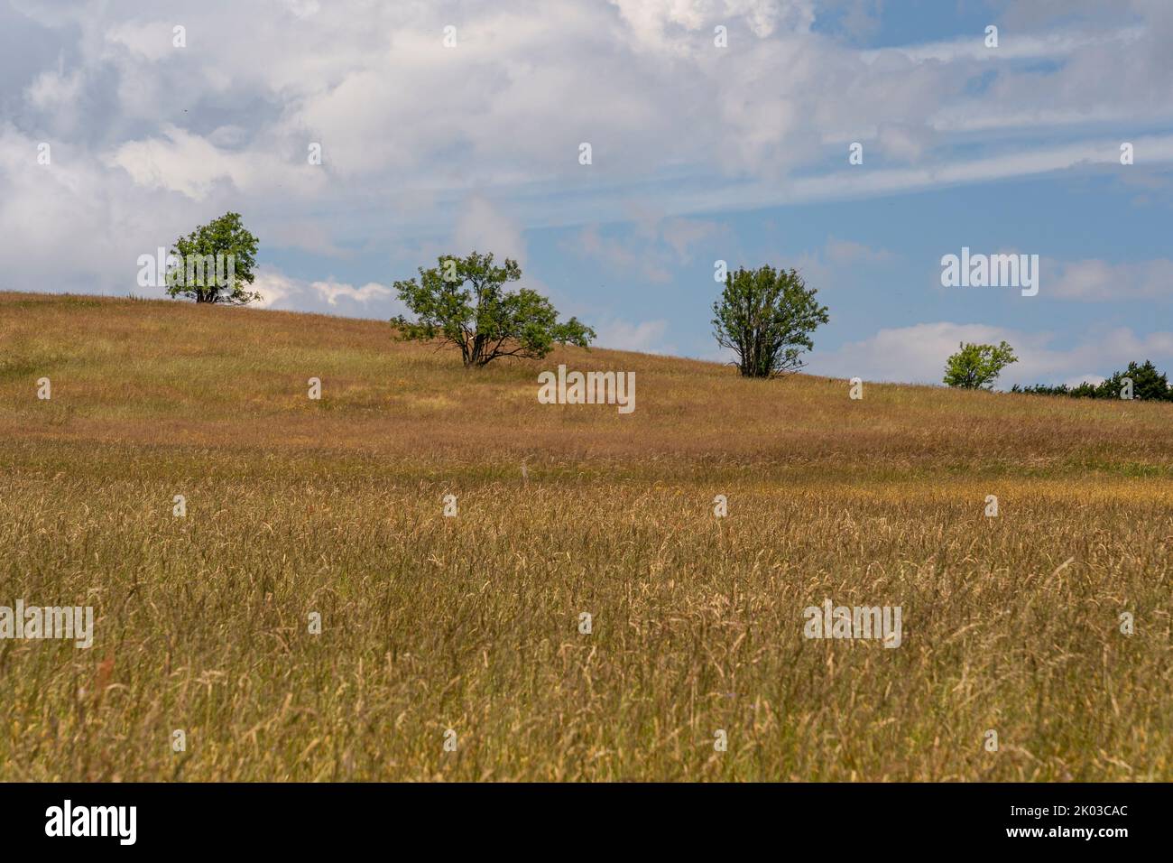 The Lange Rhön Nature Reserve in the core zone of the Rhön Biosphere ...
