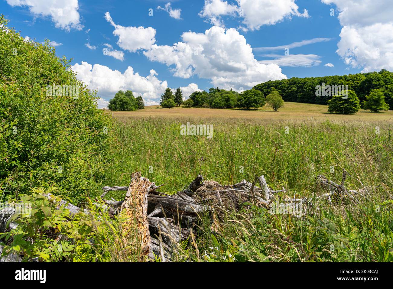 The Lange Rhön Nature Reserve in the core zone of the Rhön Biosphere ...