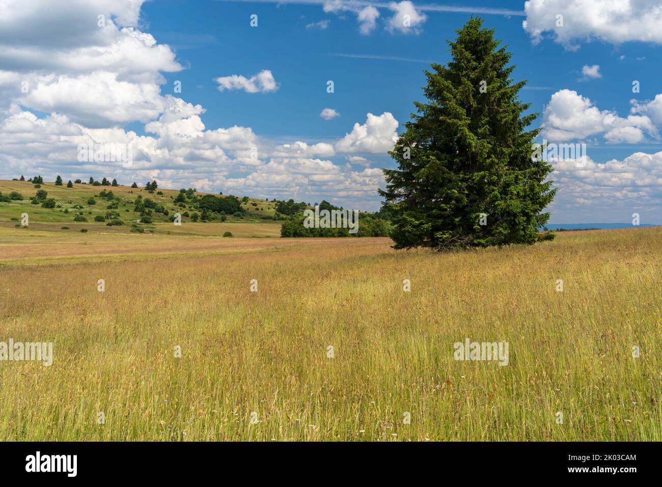 The Lange Rhön Nature Reserve in the core zone of the Rhön Biosphere ...