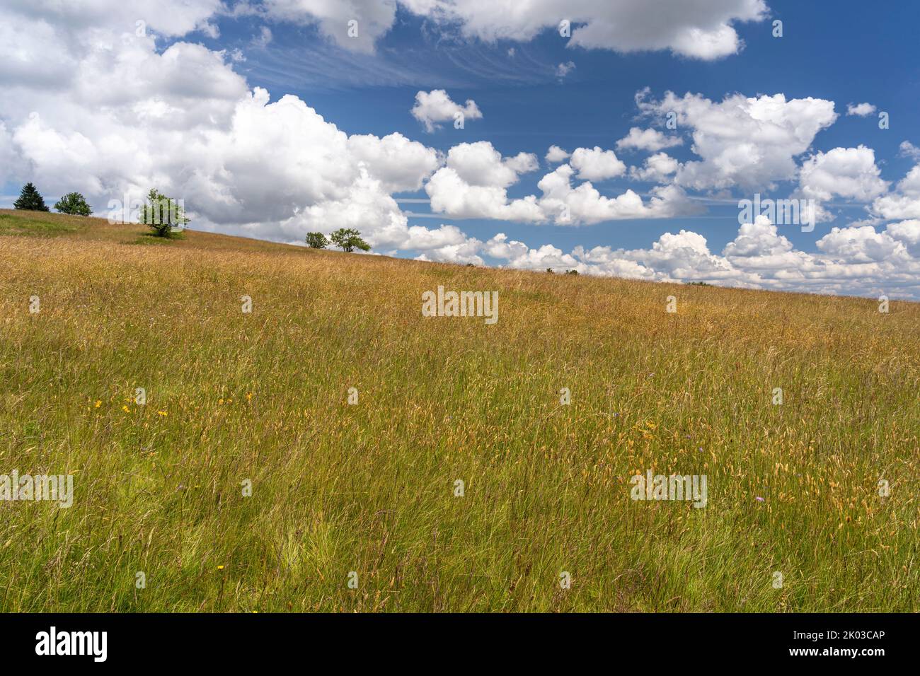 The Lange Rhön Nature Reserve in the core zone of the Rhön Biosphere ...