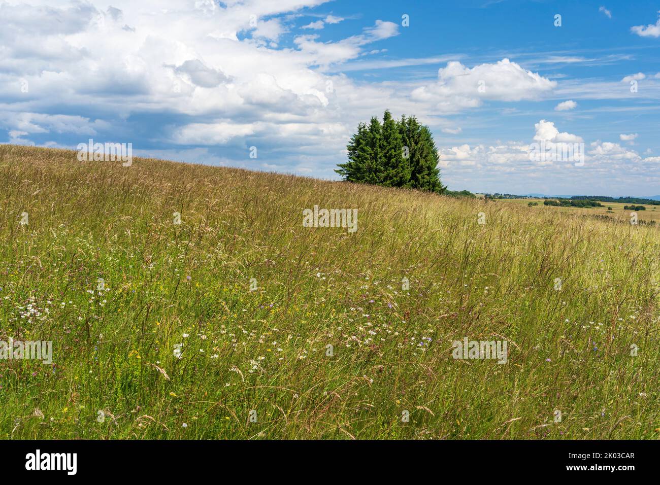 The Lange Rhön Nature Reserve in the core zone of the Rhön Biosphere ...