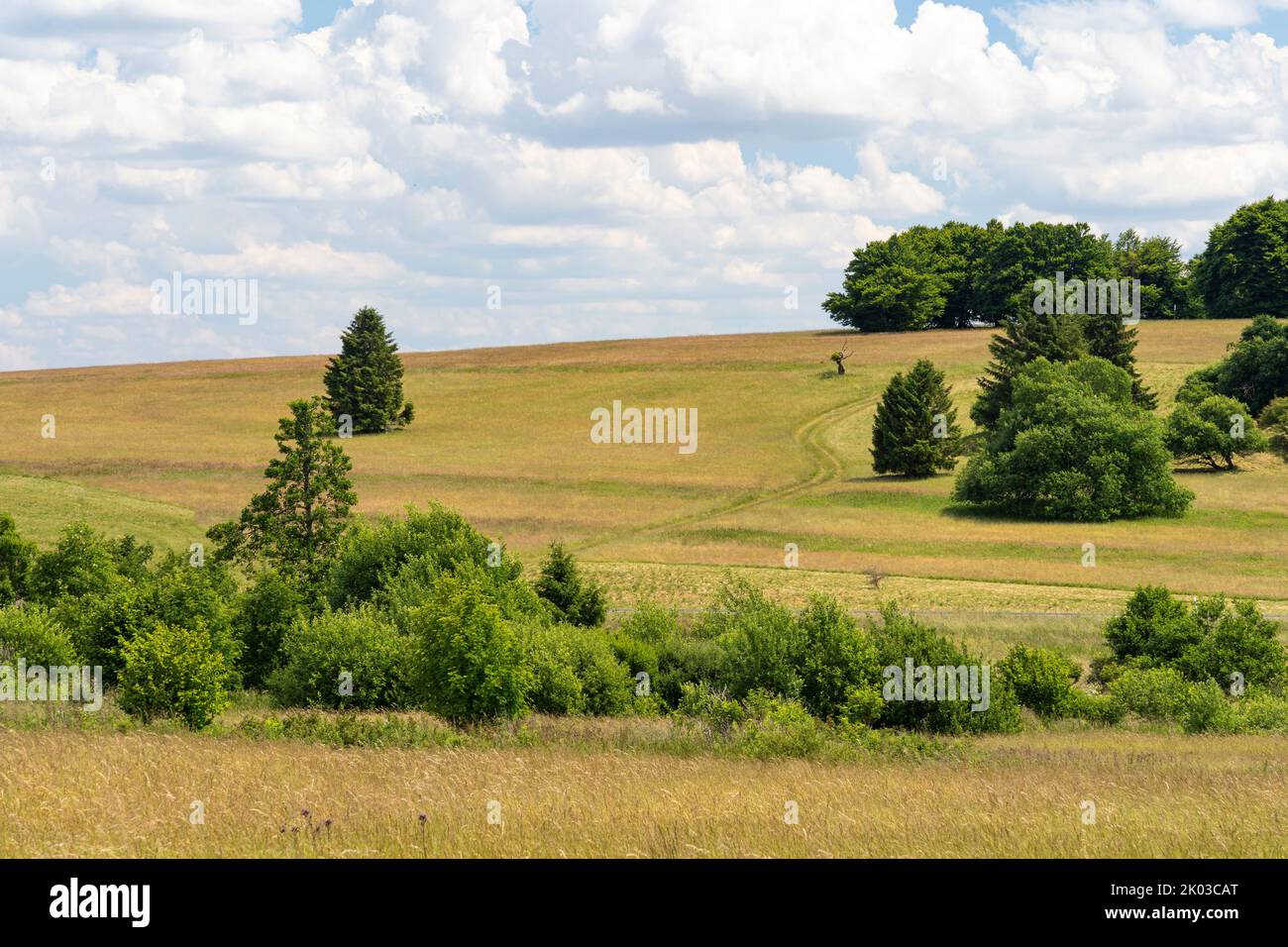 The Lange Rhön Nature Reserve in the core zone of the Rhön Biosphere ...