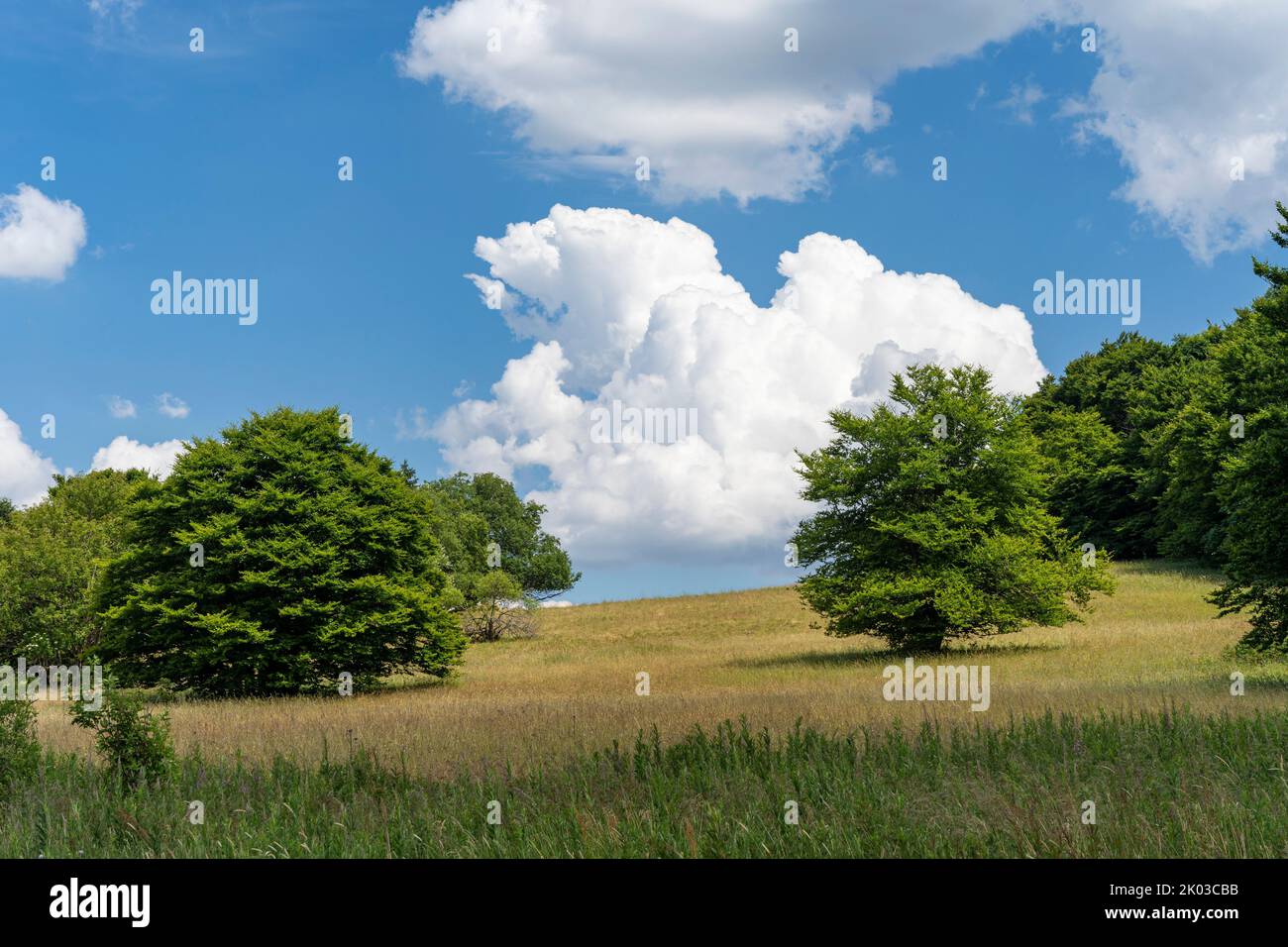 The Lange Rhön Nature Reserve in the core zone of the Rhön Biosphere ...