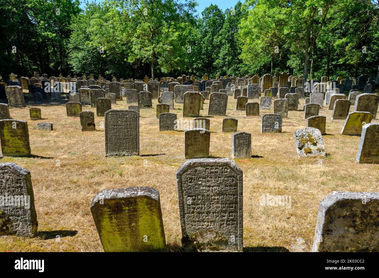 Jewish cemetery in Kleinbardorf, municipality of Sulzfeld, rural ...