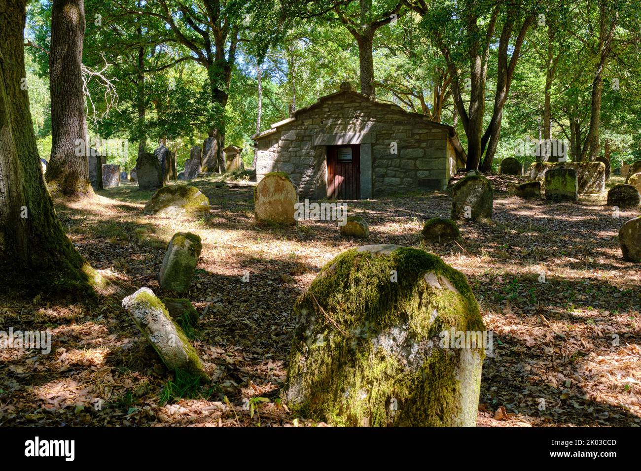 Jewish cemetery in Kleinbardorf, municipality of Sulzfeld, rural ...