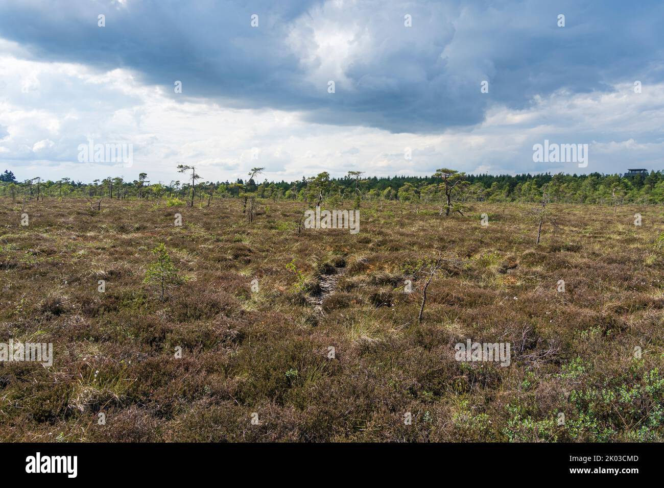 Black Moor" nature reserve, Rhön Biosphere Reserve, Lower Franconia ...