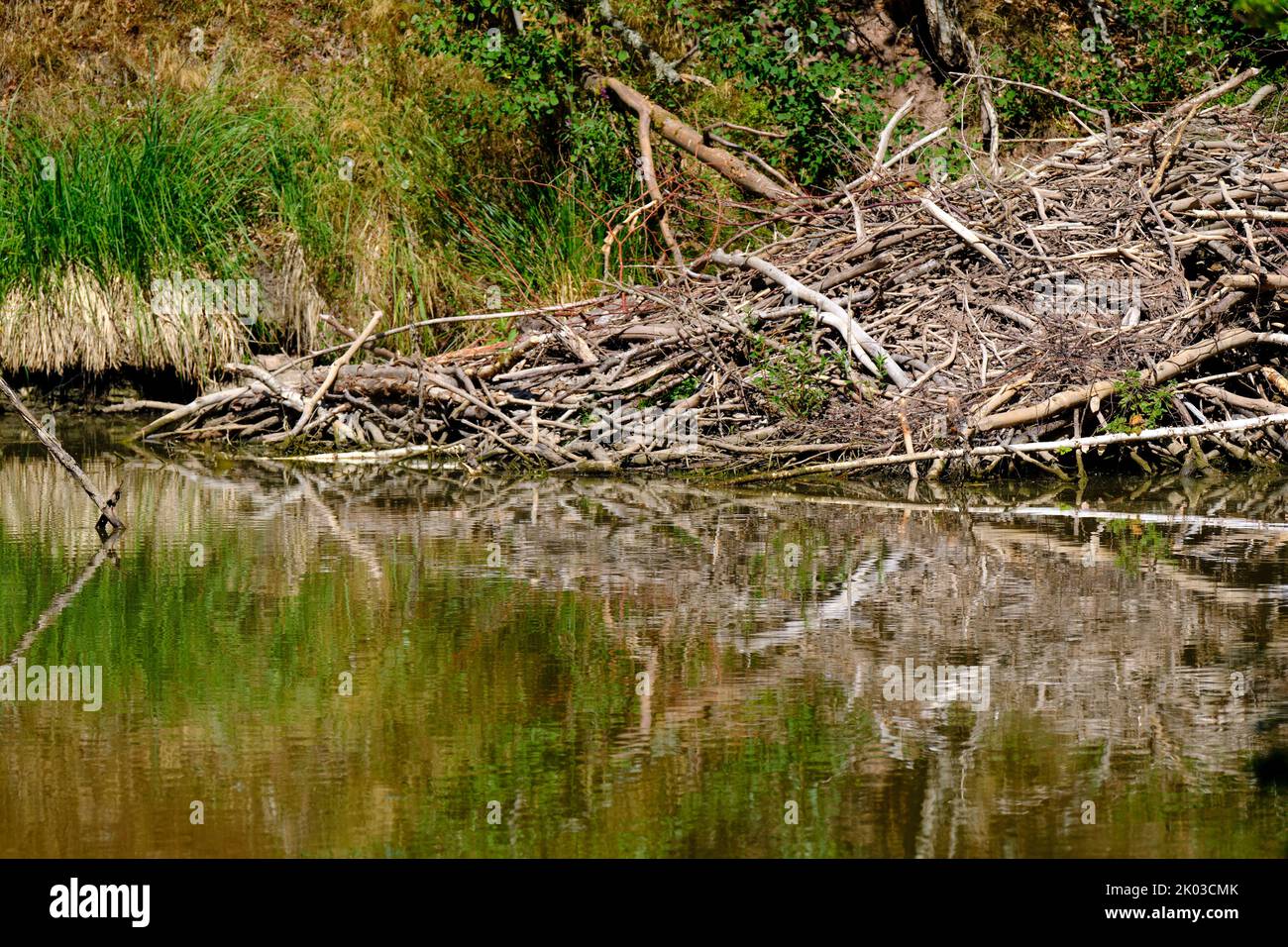 Beaver Castle in Hassberge Nature Park, Lower Franconia, Franconia ...