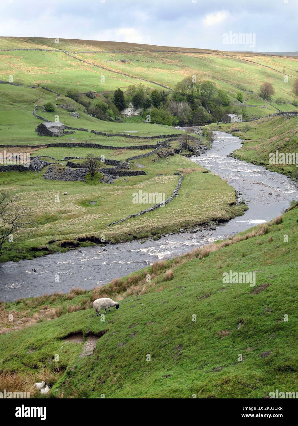 River Swale at Upper Keld, Yorkshire Dales national park, England Stock ...