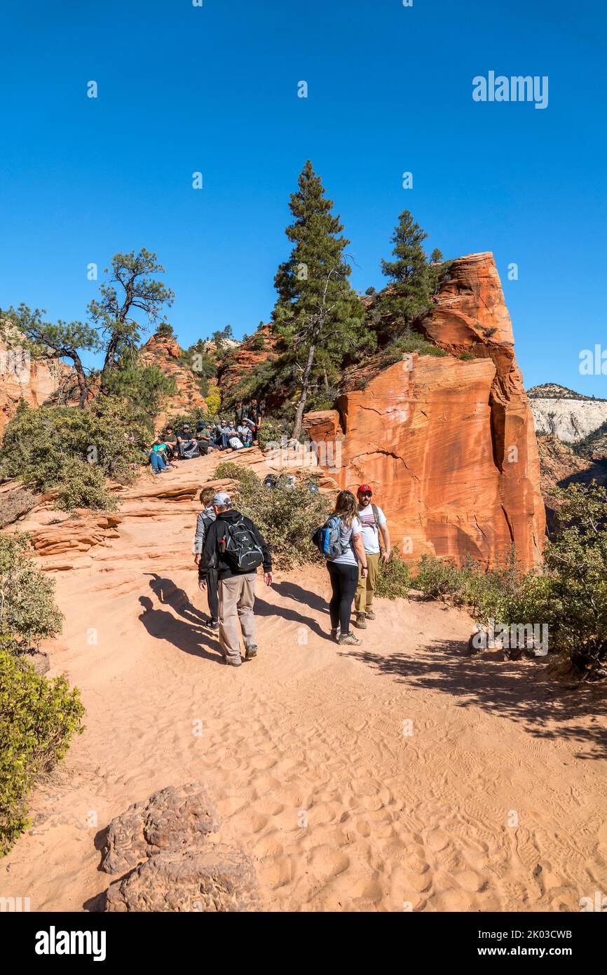 Zion National Park is located in southwestern Utah on the border with ...