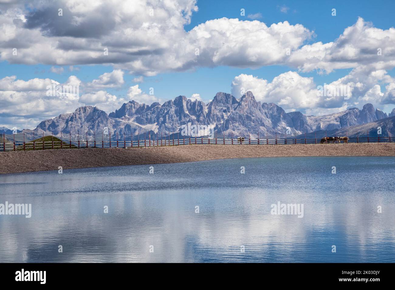 Italia, Trentino, province of Trento, Predazzo, Fiemme valley ...