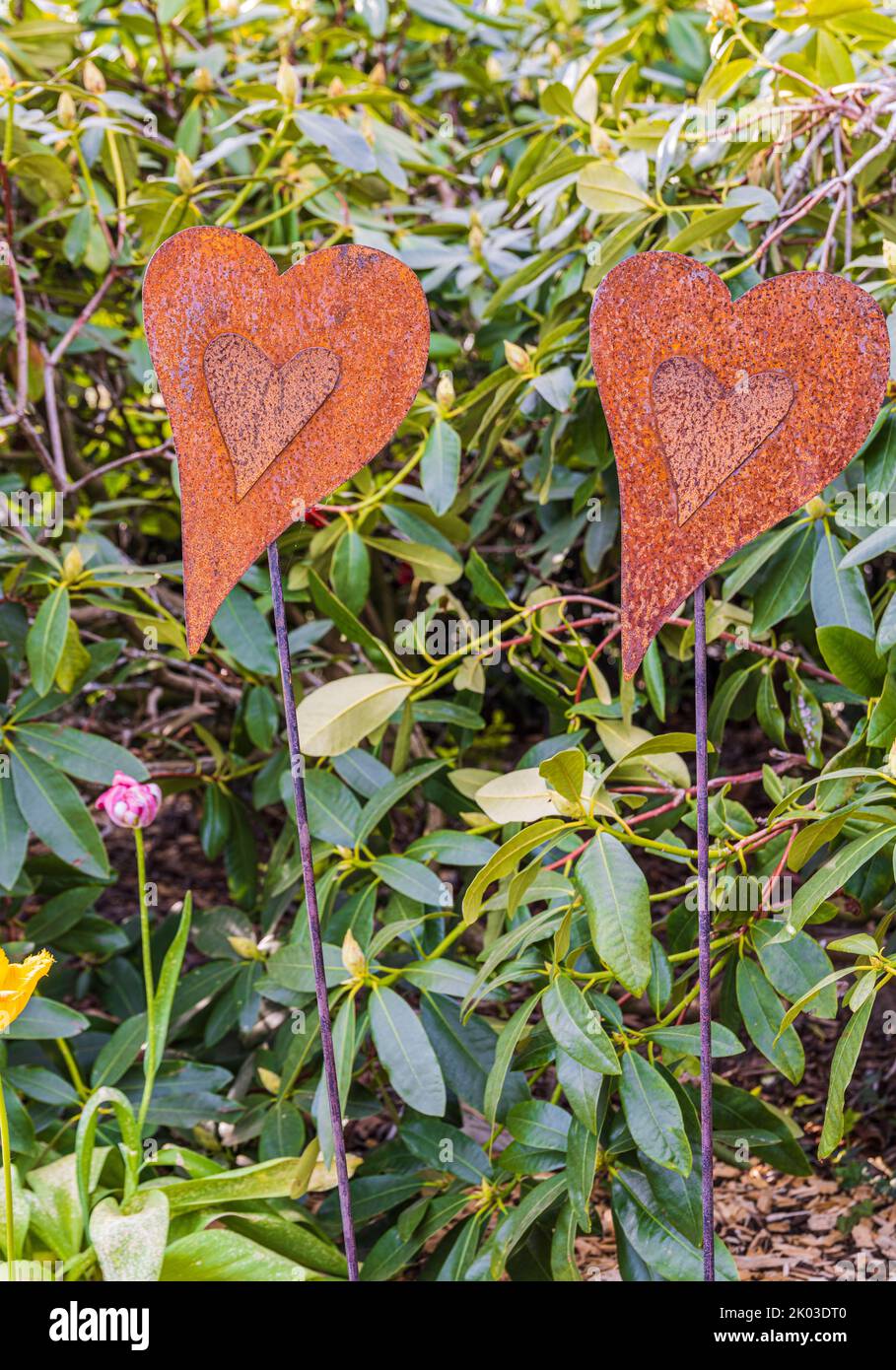 Heart shaped metal garden plug hi-res stock photography and images - Alamy
