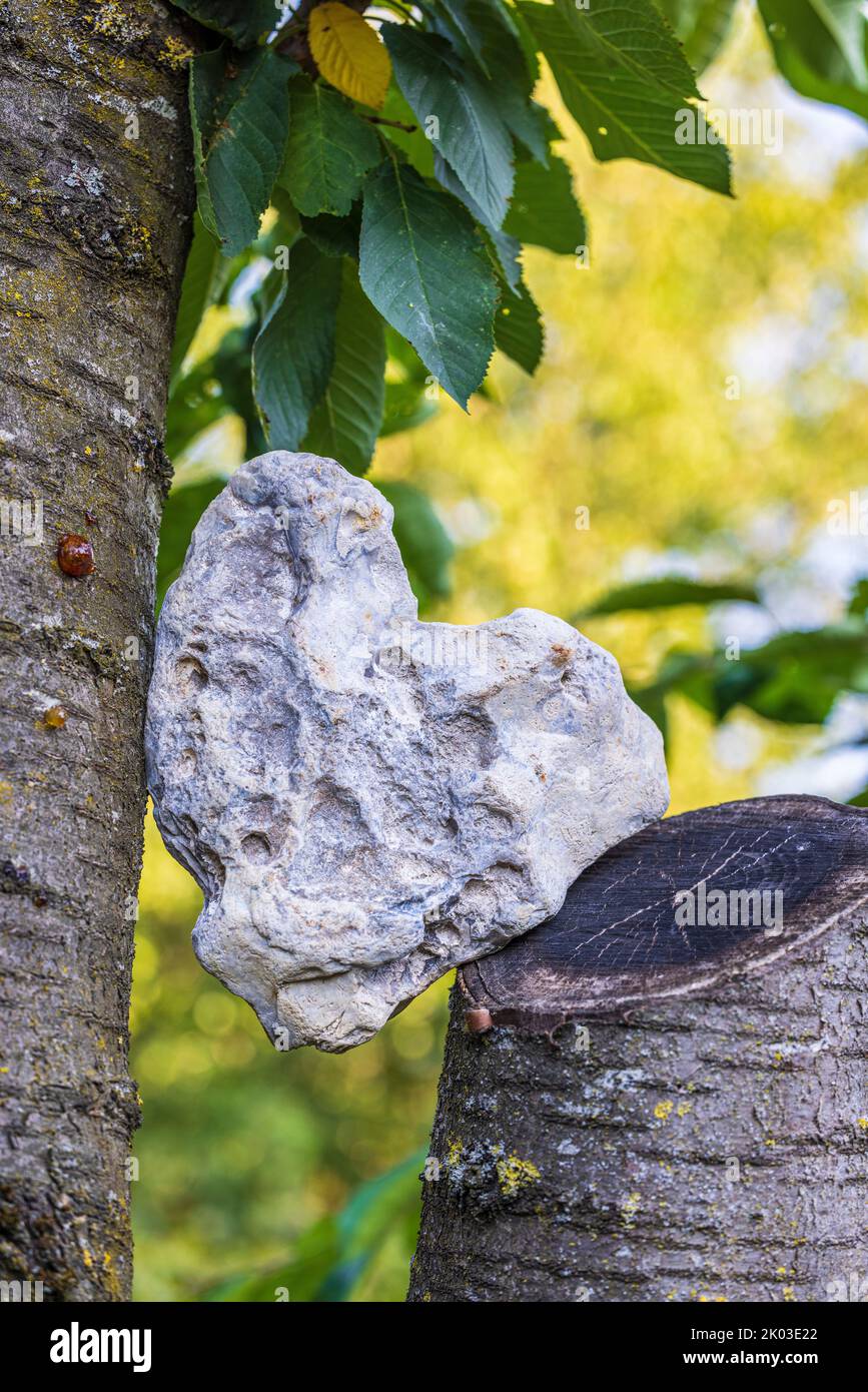 Flotsam And Jetsam Garden Club at Gerald Murdock blog