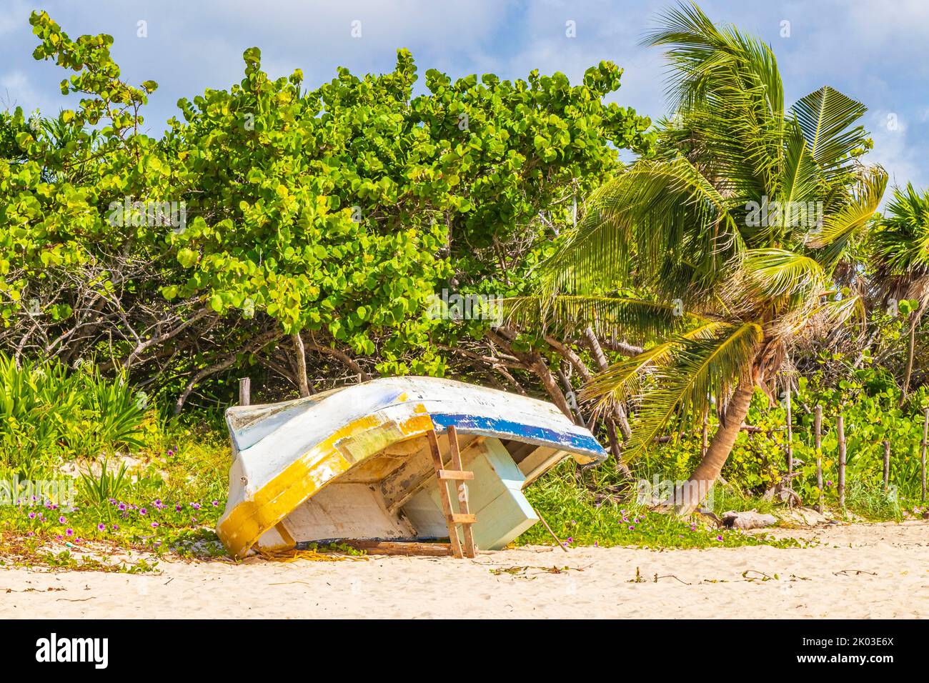 Boat yacht ship ferry jetty pier and harbor at the tropical mexican ...