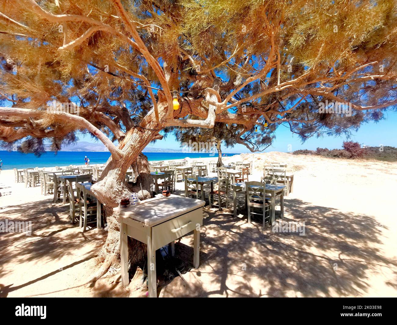 View of tables and chairs under a tree at Plaka Beach on Naxos, Greece ...