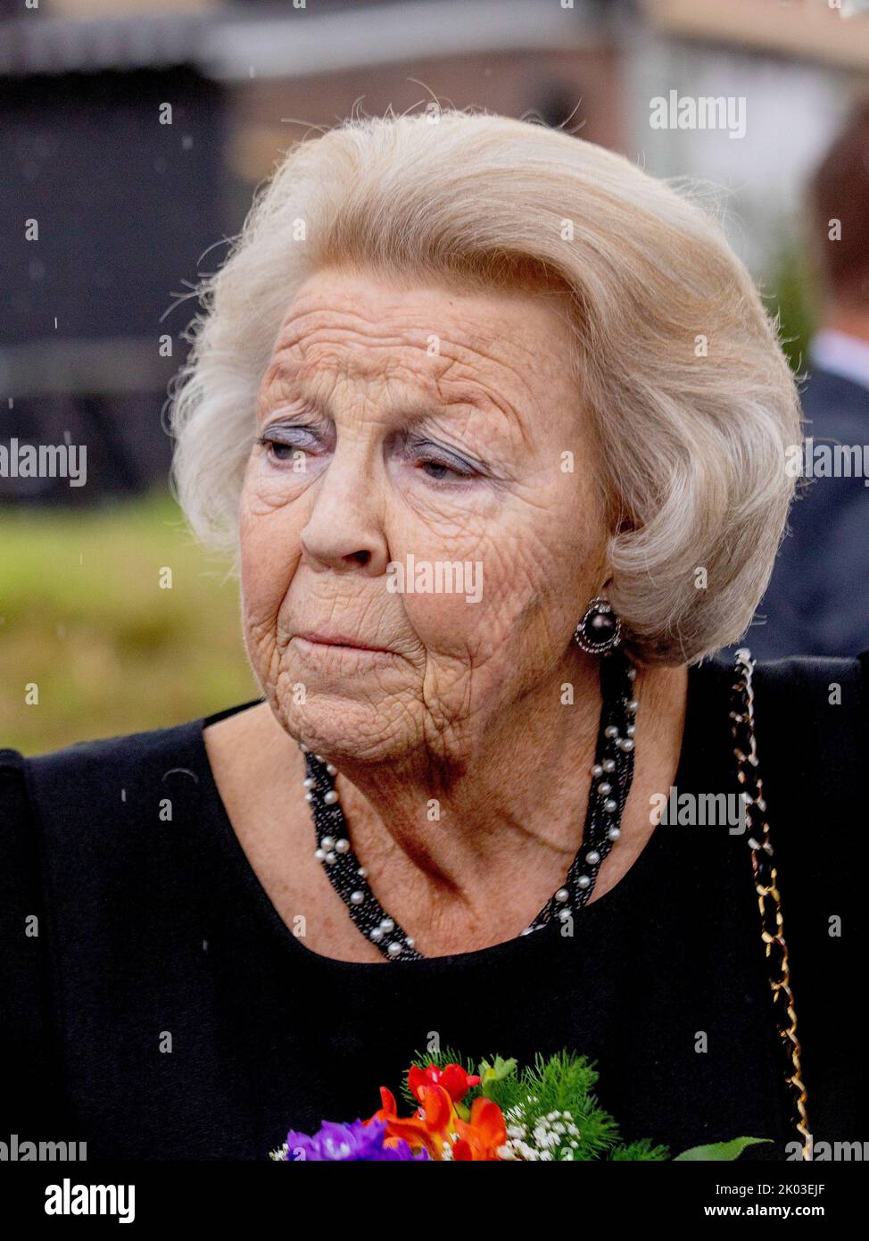 Princess Beatrix at the celebration of the three hundredth anniversary ...