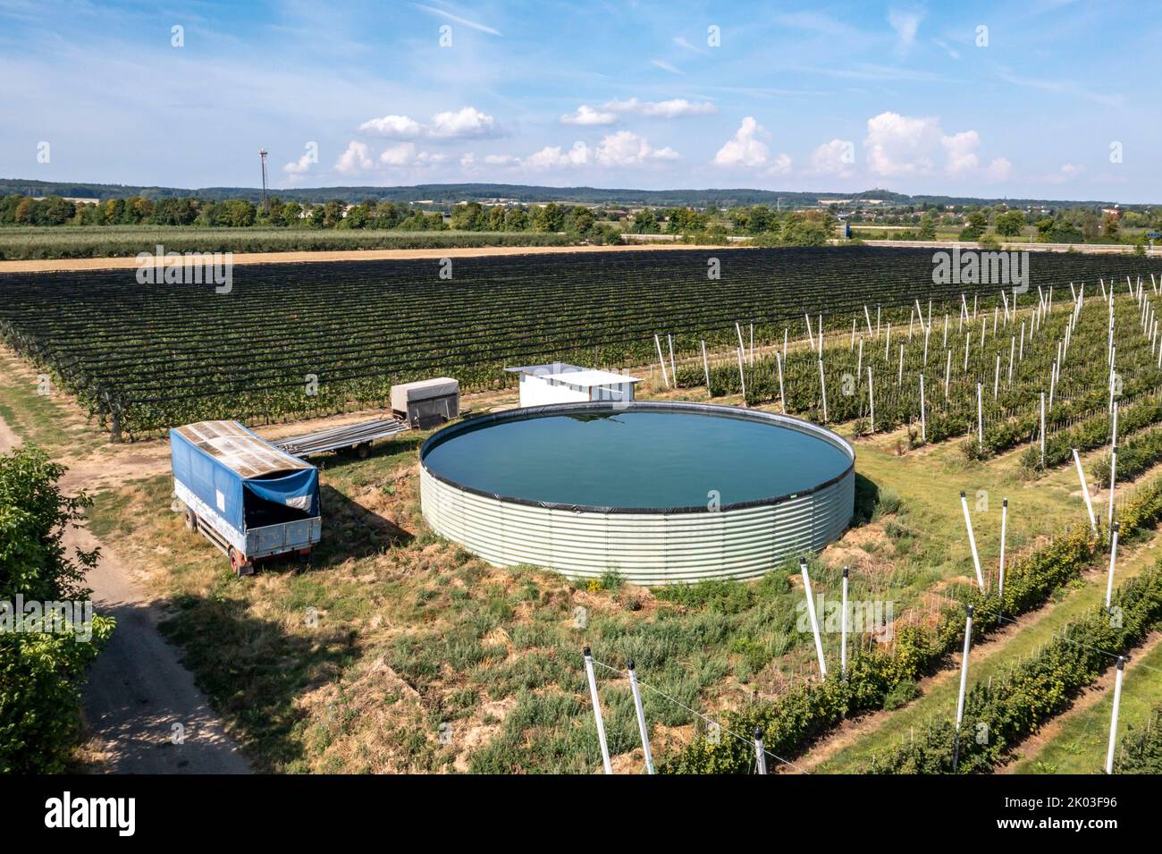 Fruit growing, berry crops, rainwater tank for crop irrigation, Germany ...