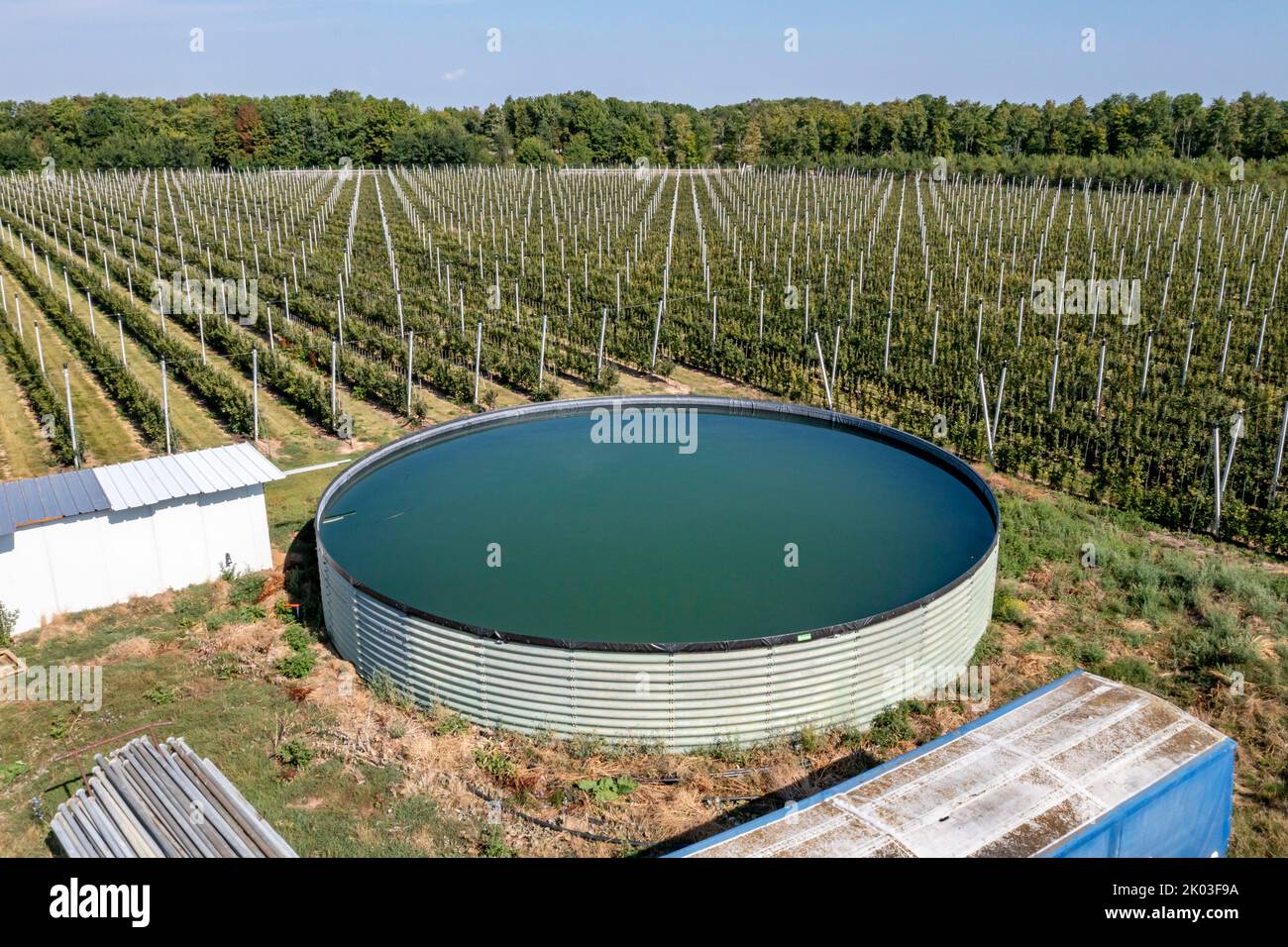 Fruit growing, berry crops, rainwater tank for crop irrigation, Germany ...