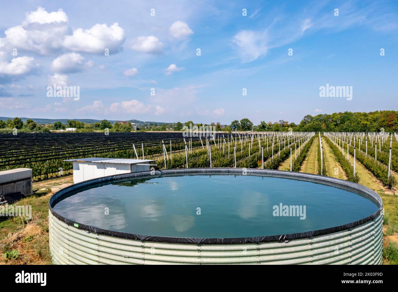Fruit growing, berry crops, rainwater tank for crop irrigation, Germany ...
