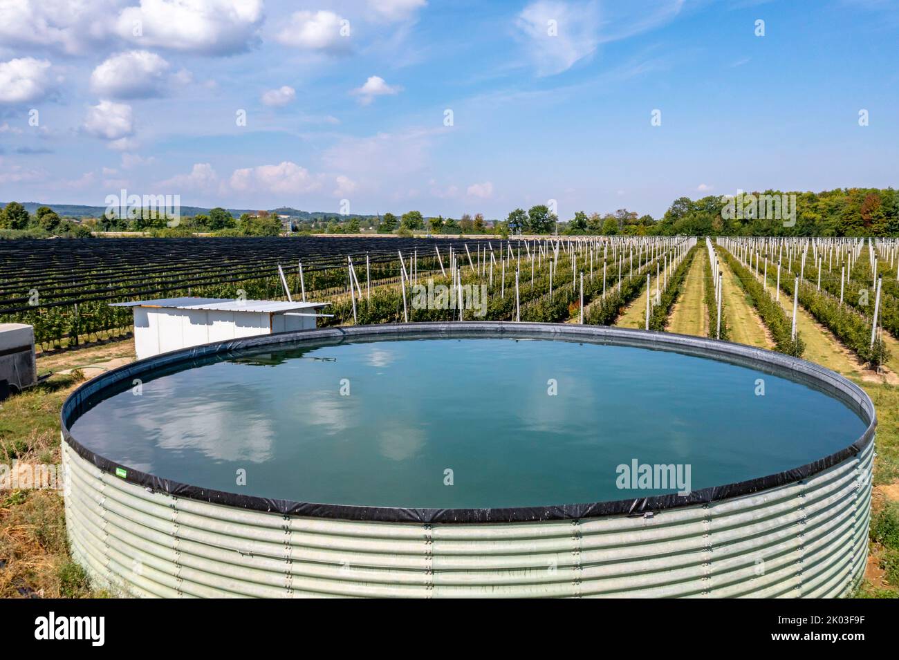 Fruit growing, berry crops, rainwater tank for crop irrigation, Germany ...