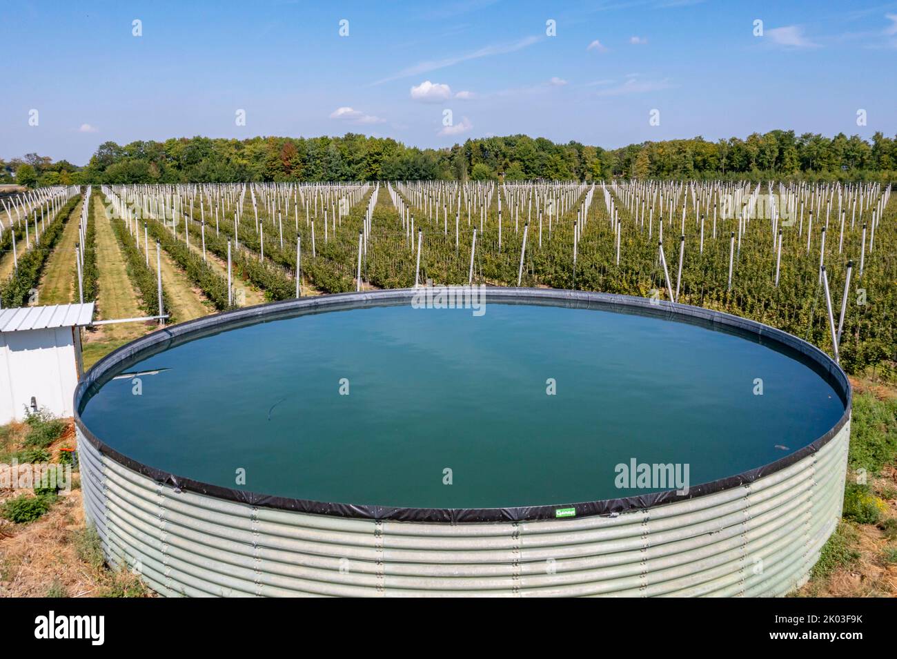 Fruit growing, berry crops, rainwater tank for crop irrigation, Germany ...