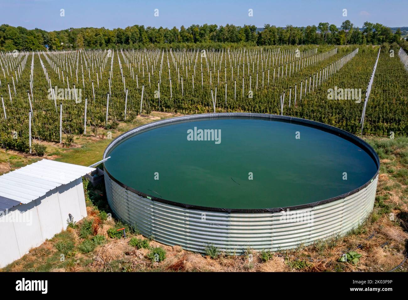 Fruit growing, berry crops, rainwater tank for crop irrigation, Germany ...