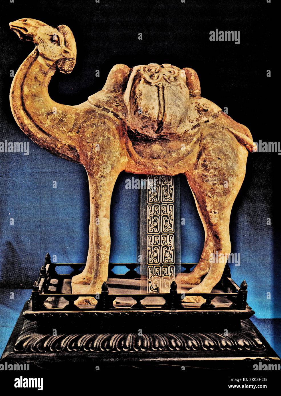 Sui or Tang Dynasty figurine of a camel, it has a light khaki colour ...