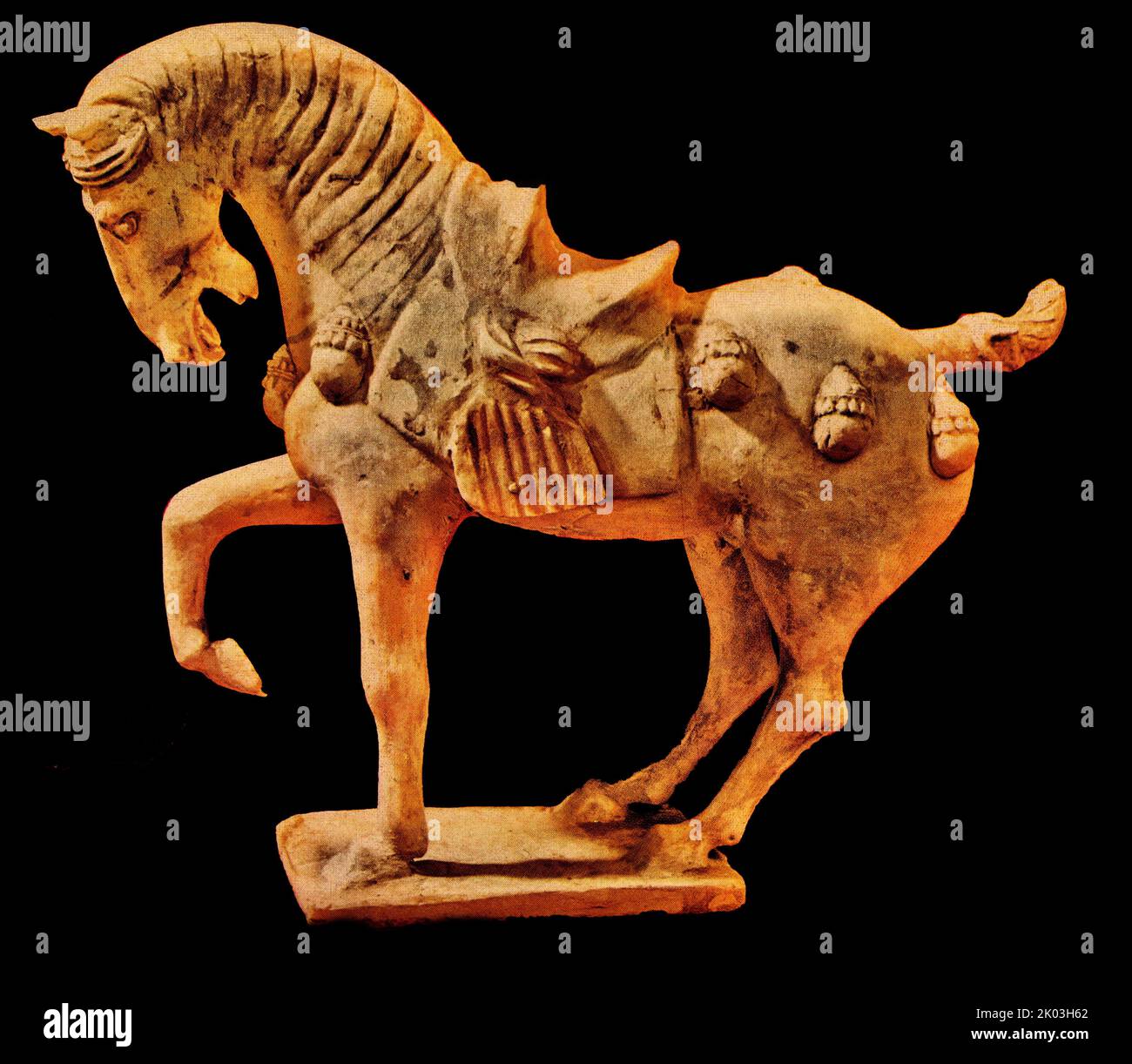 Drooping horse hi-res stock photography and images - Alamy