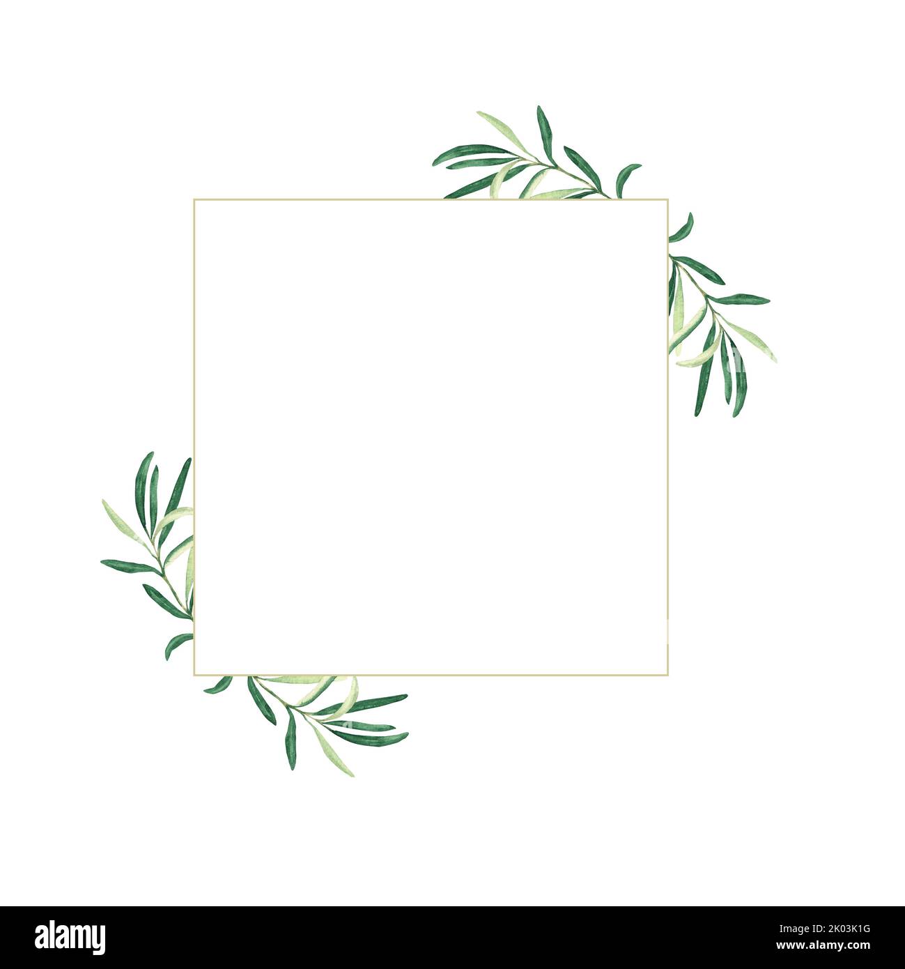 Olive square frame. Olive branches. Hand drawn watercolor botanical ...