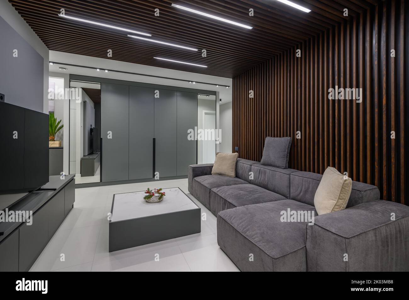 Luxury living room and hall in studio apartment Stock Photo - Alamy