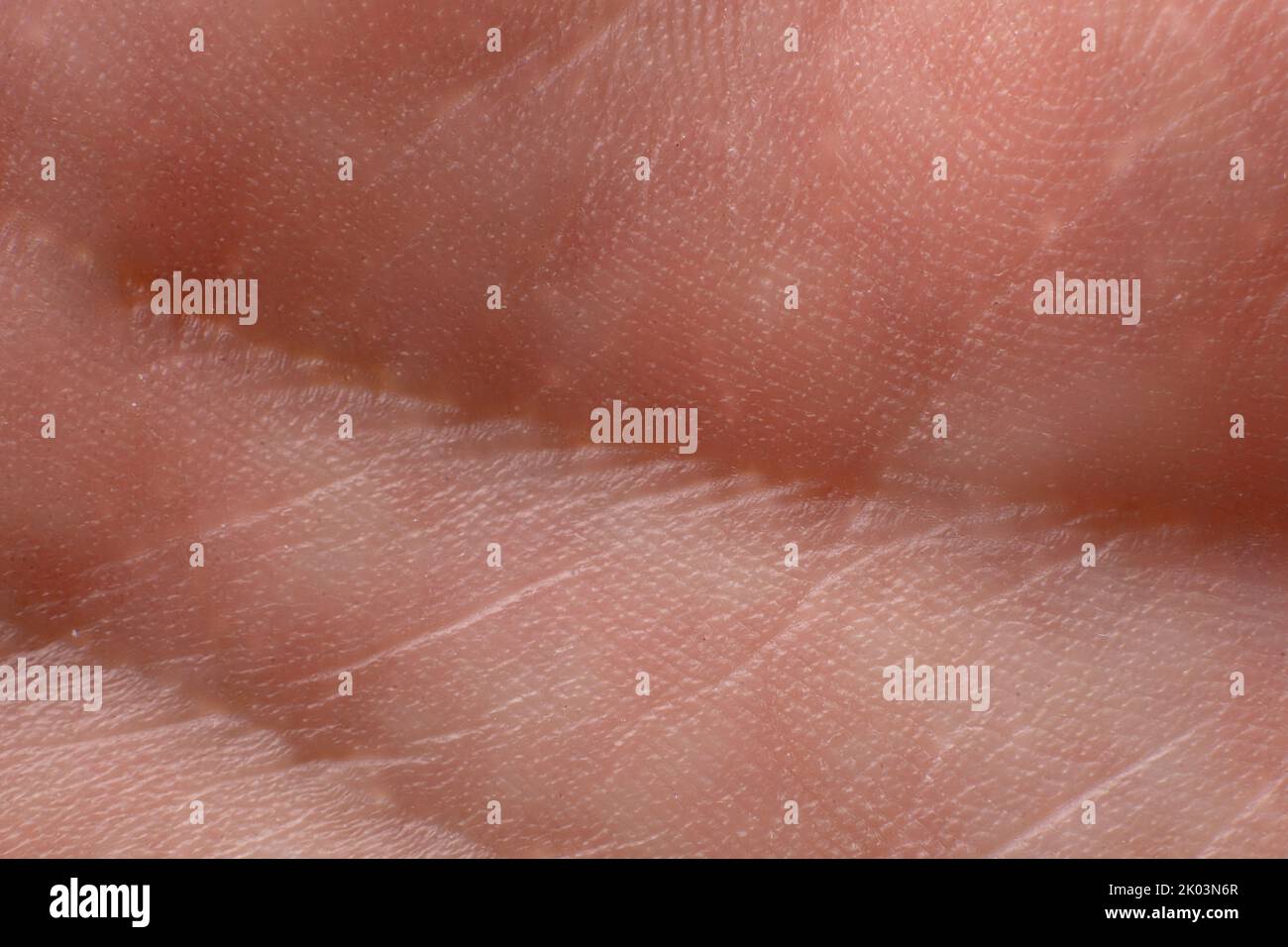 Palm hand thumb lines hi-res stock photography and images - Alamy
