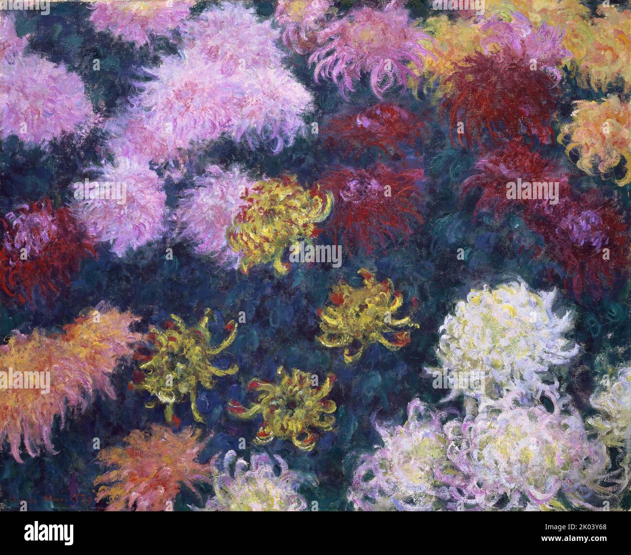 Massif de chrysanthèmes (Bed of Chrysanthemums), 1897. Found in the ...
