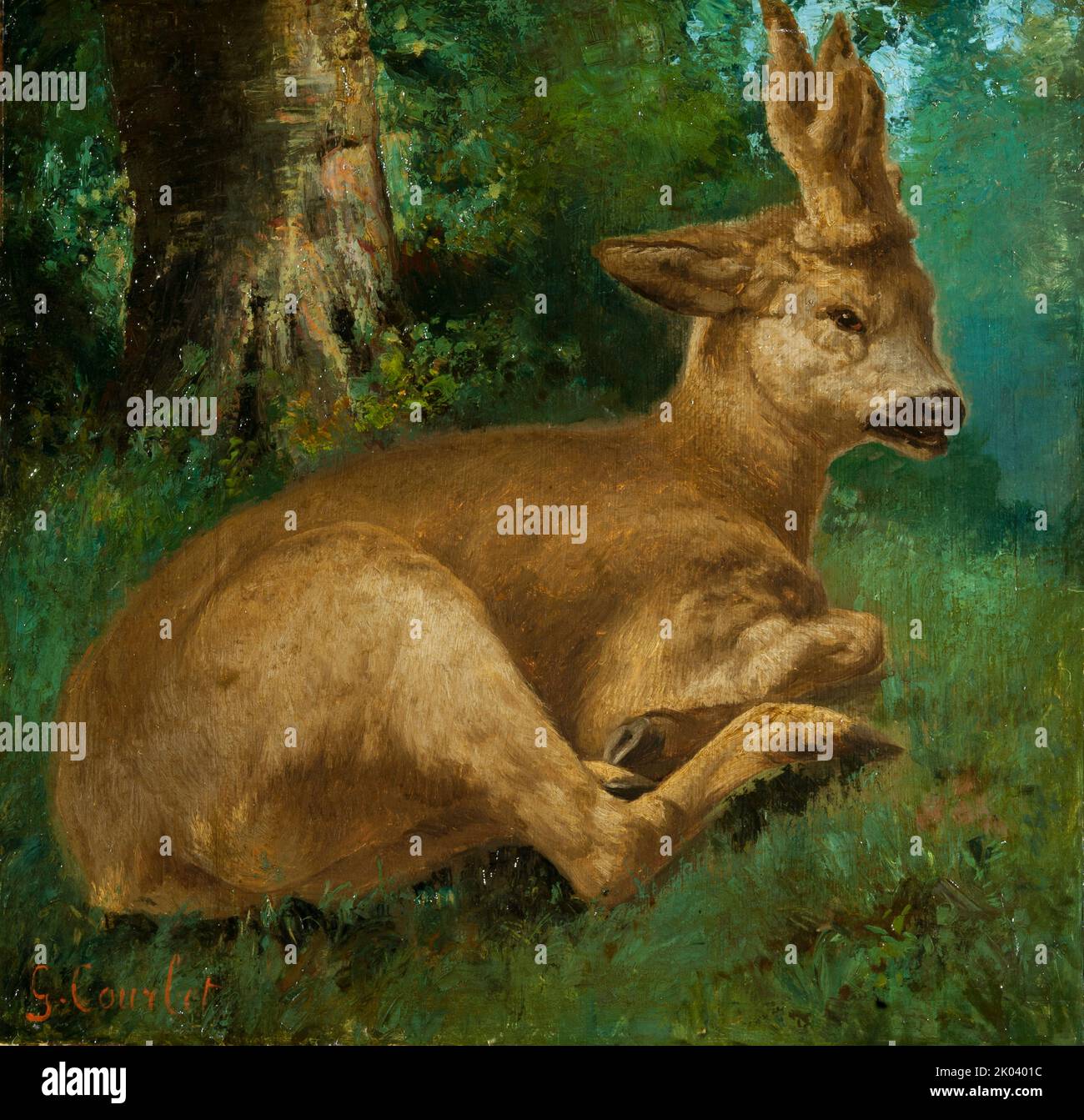 Roebuck. Found in the collection of the Göteborg Konstmuseum Stock ...