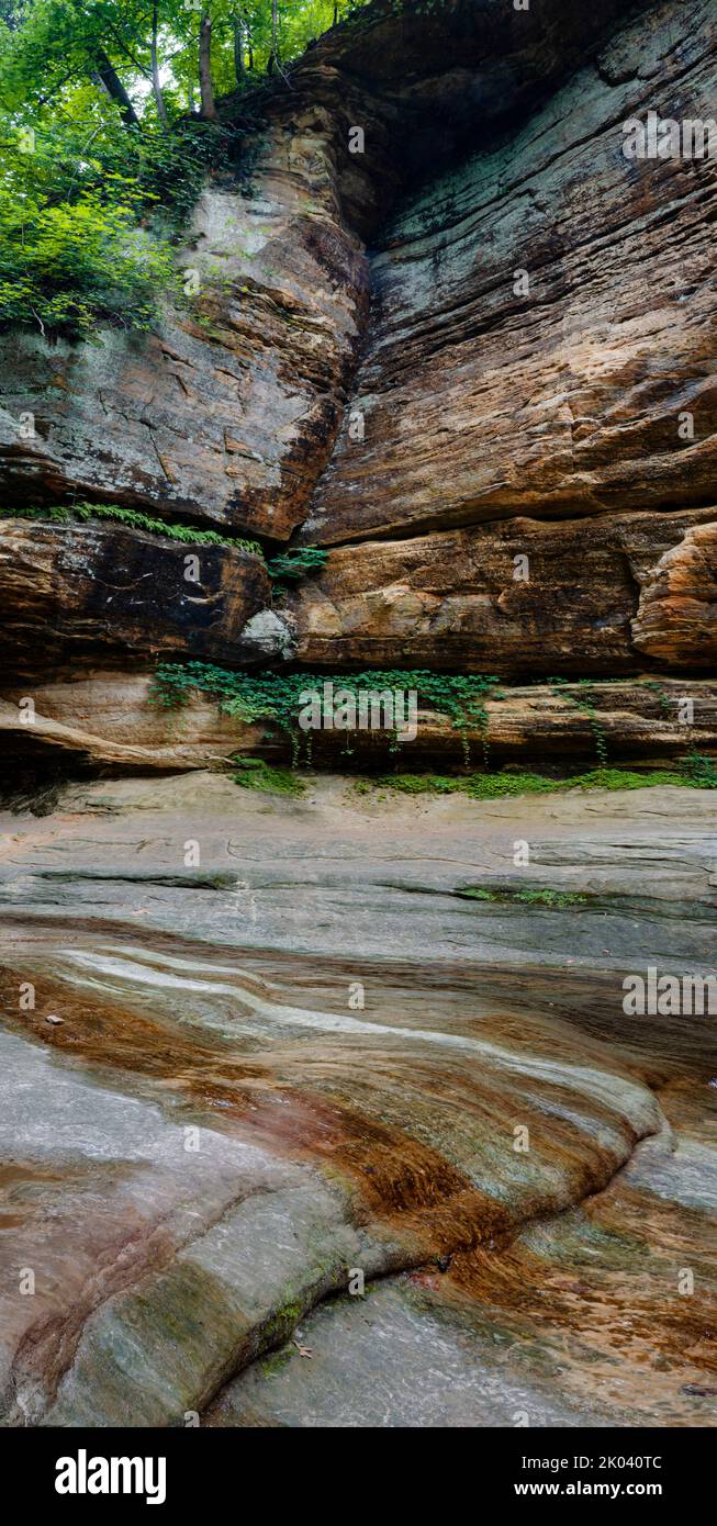Water erosion carved the sandstone canyon walls in LaSalle Canyon ...