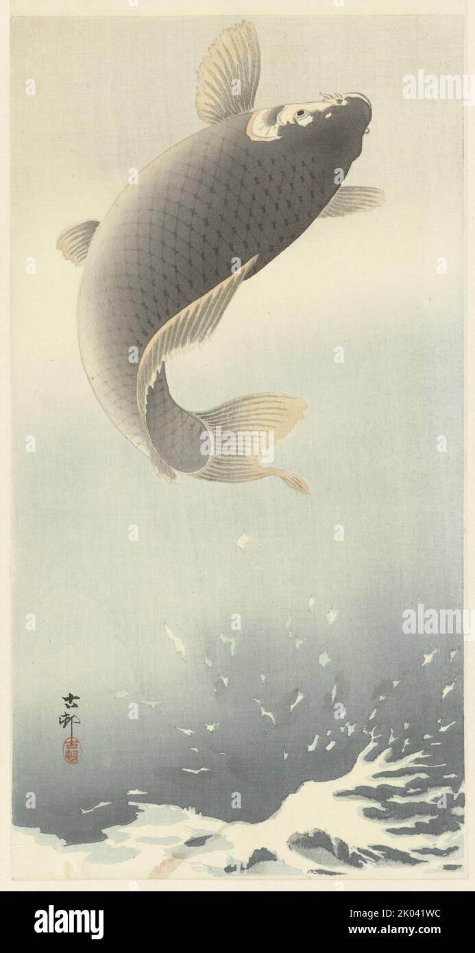 Asian carp jumping hi-res stock photography and images - Alamy