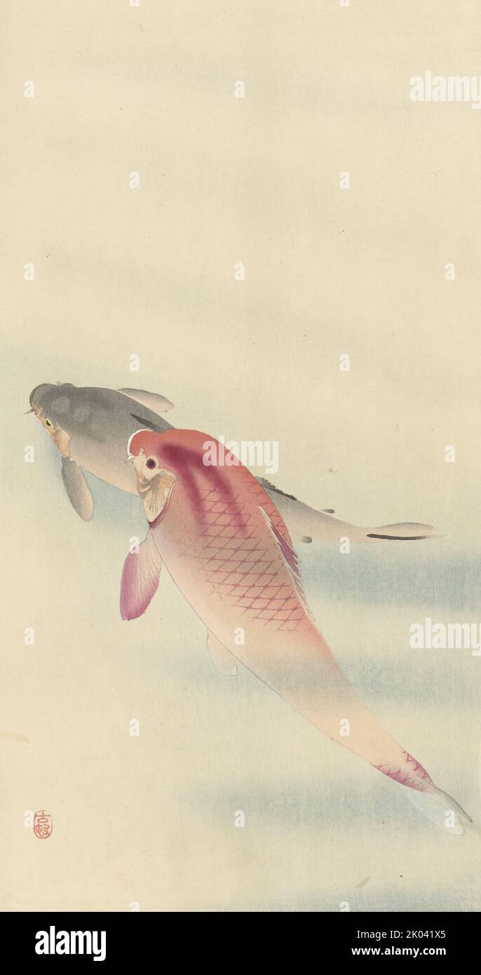 Two carp. Private Collection Stock Photo - Alamy