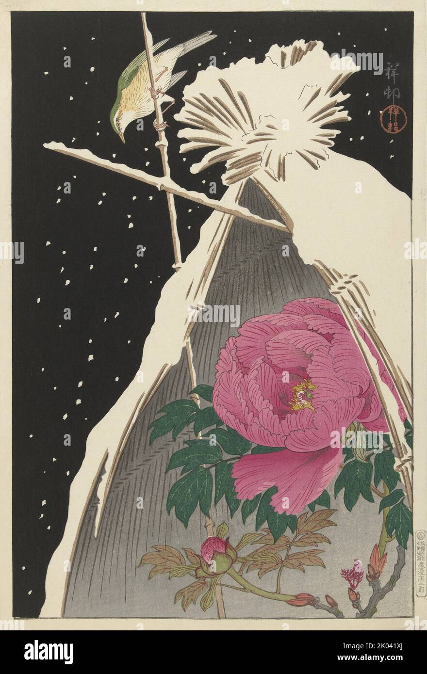 Siberian blue robin next to a Peony sheltered by a Snowcovered Hay ...